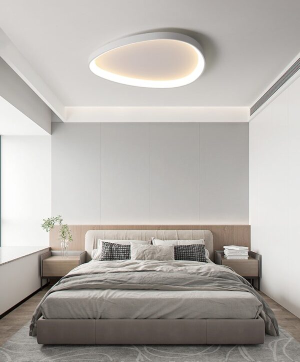 Wisdom Egg Irregular Shape Ceiling Light | Screed