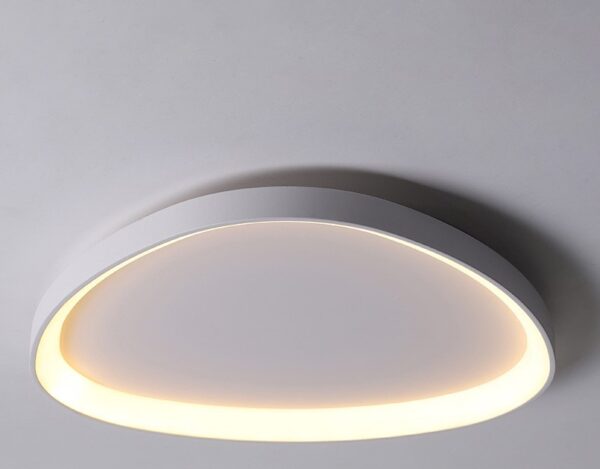 Wisdom Egg Irregular Shape Ceiling Light | Screed