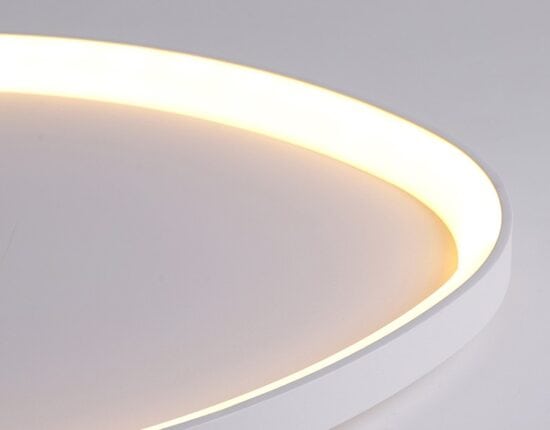 Wisdom Egg Irregular Shape Ceiling Light | Screed