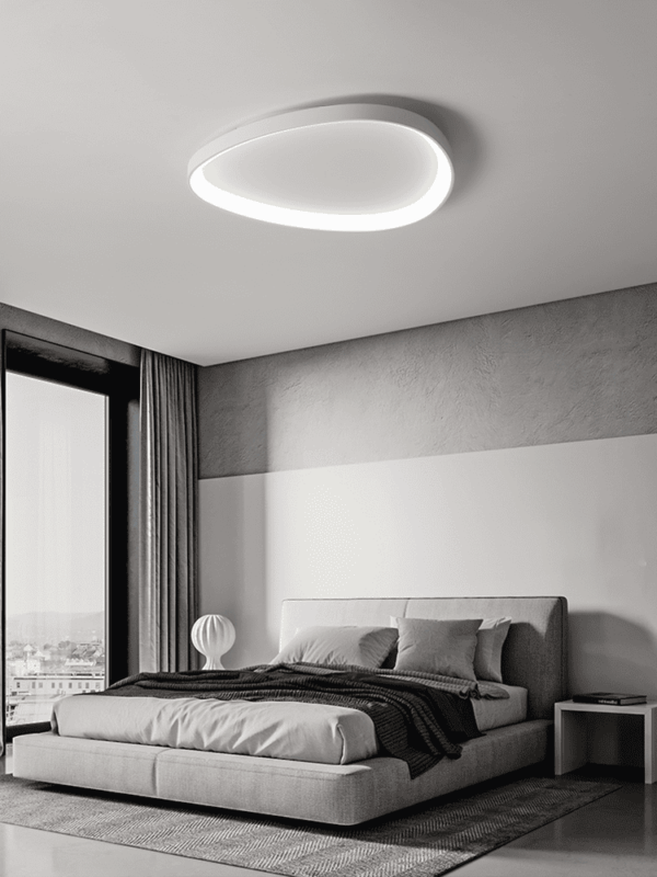 Wisdom Egg Irregular Shape Ceiling Light | Screed
