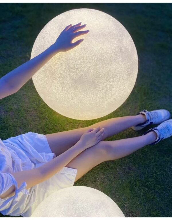 Luaben Lunar Glowing Moon Outdoor Decorative Floor Lamp | Screed