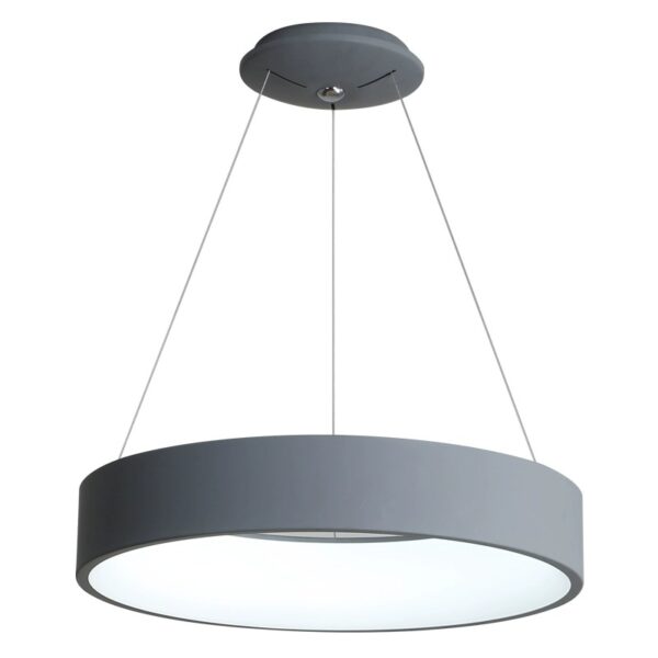 Roundinsa Round Ring Pendant Light | Screed